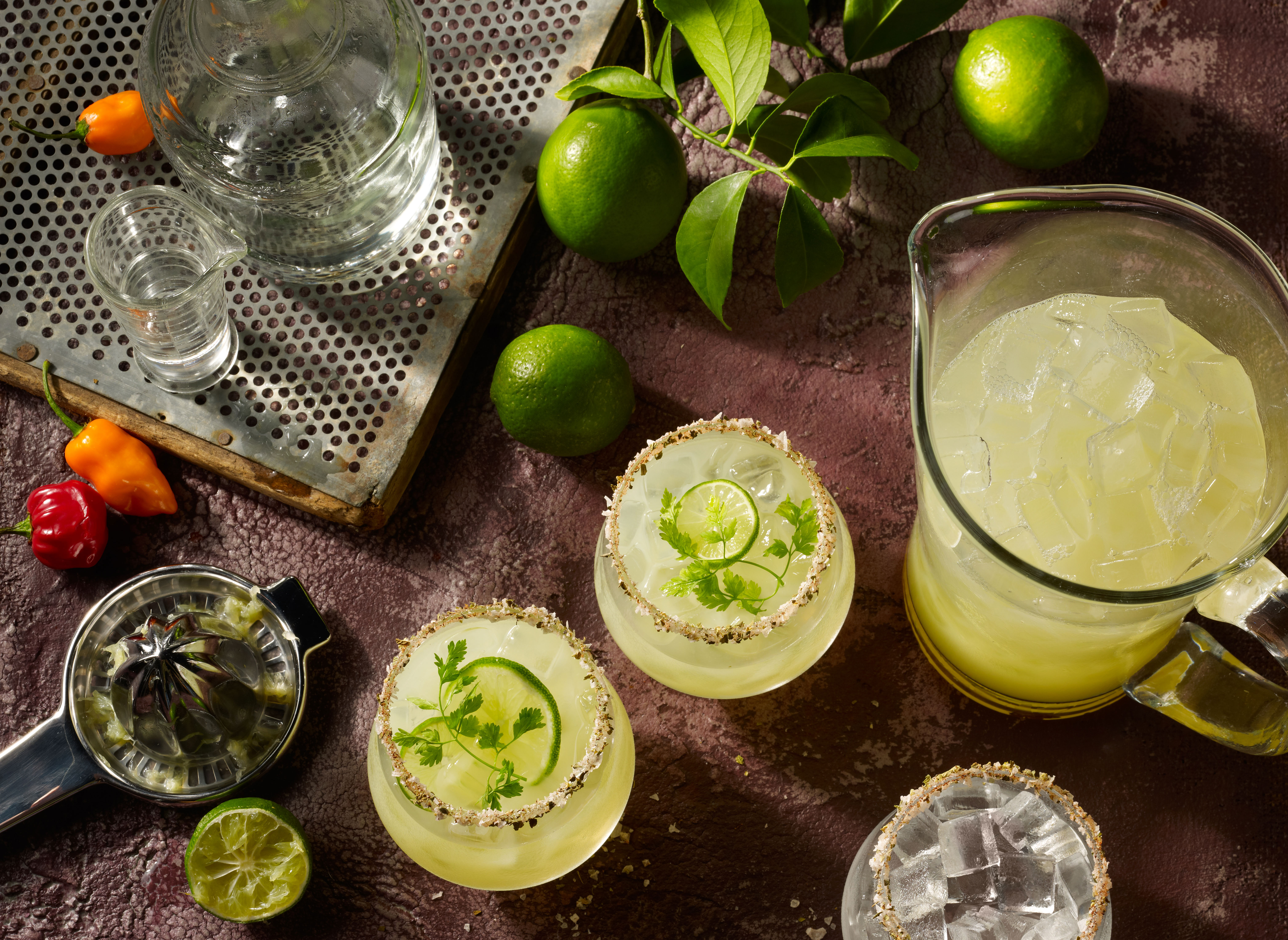 35 Best Tequila Mixed Drinks Easy Tequila Cocktail Recipes